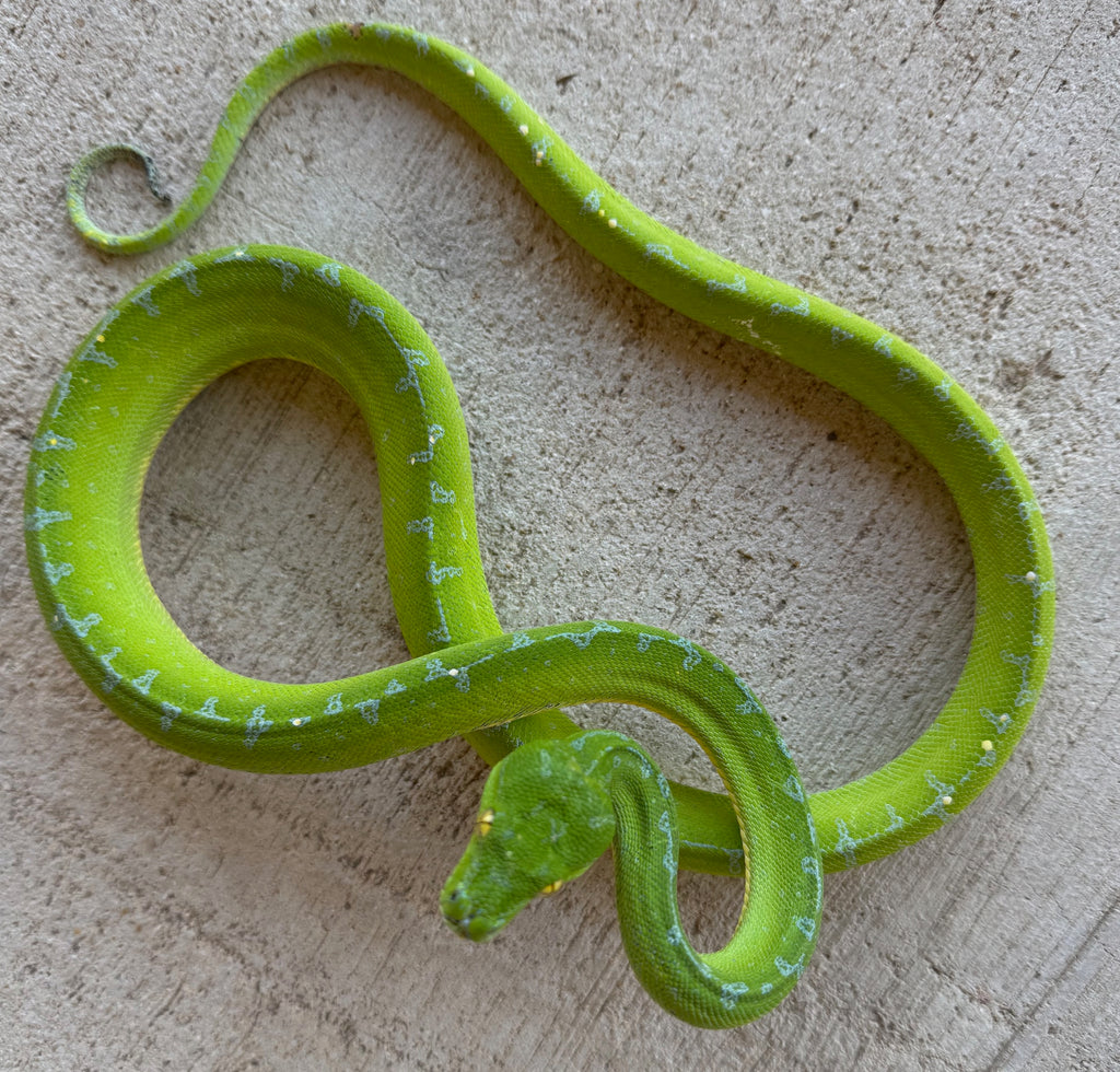 Sorong Green Tree Python Female (SGTP1) – Reptile Pets Direct